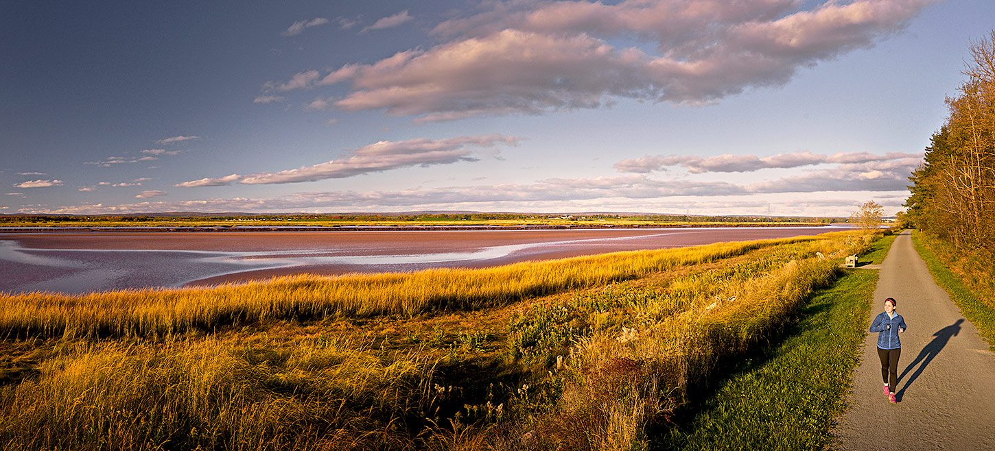 Home - Municipality of Colchester